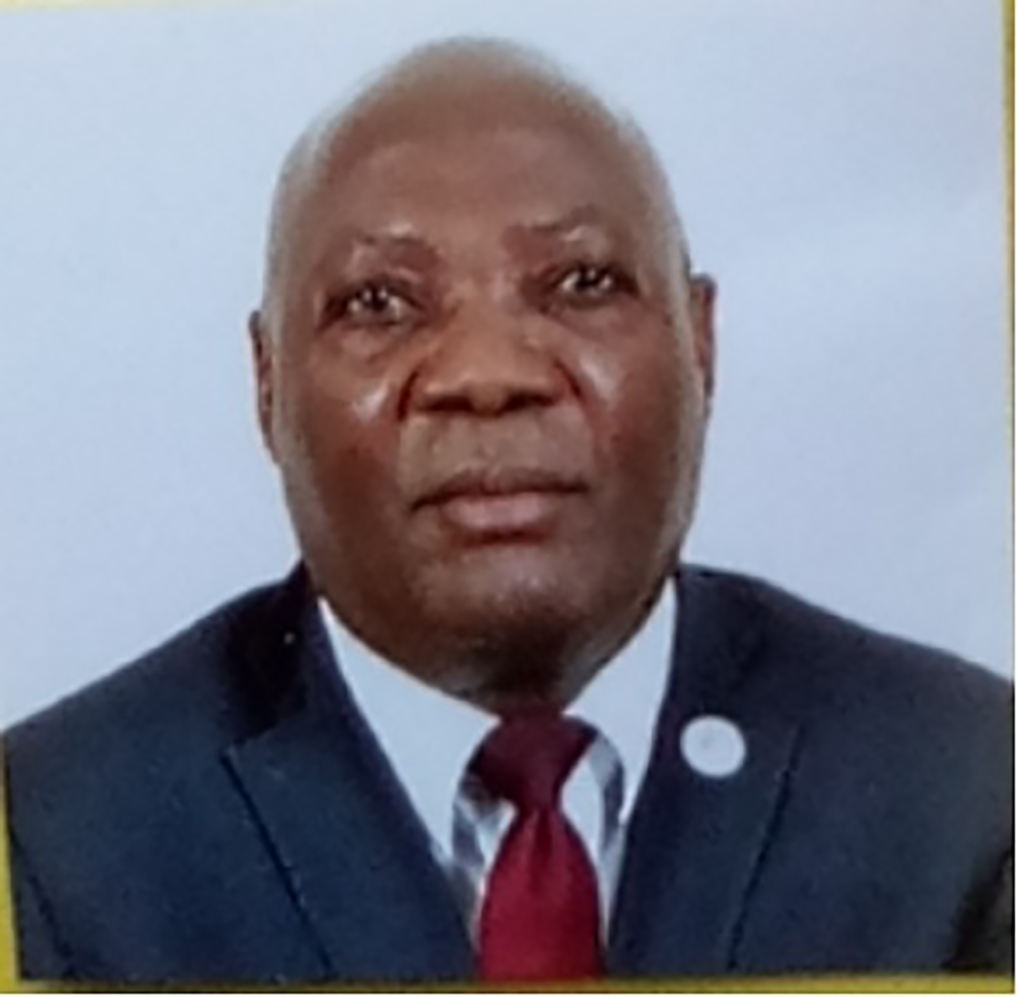 Pierre Roland Philippe, 1er vice-président du conseil exécutif de la ...